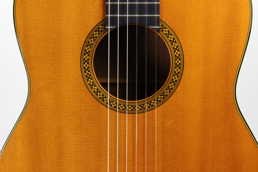 1971 Martin N-20 Rosewood Nylon Classical Acoustic Guitar - Willie Nel ...