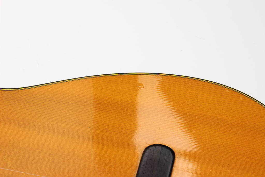 1971 Martin N-20 Rosewood Nylon Classical Acoustic Guitar - Willie Nel ...